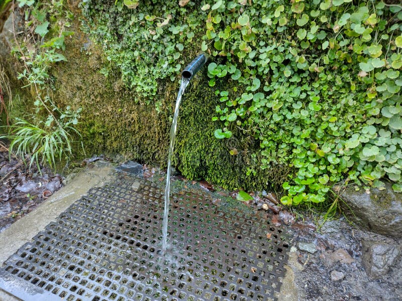 Water Spring in Maramures County, Romania - in the Summer Stock Image ...
