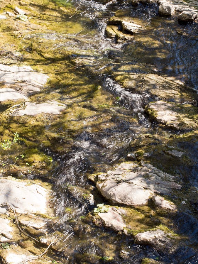 Water. Spring Stream, Watercourse, with Shadows from Trees. Stock Photo ...