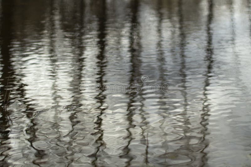 Water in Spring. Waves on Surface. Spring Puddle Stock Photo - Image of ...