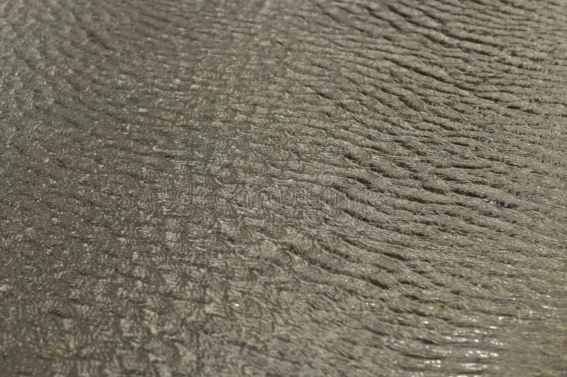 Water in Spring. Waves on Surface. Spring Puddle Stock Image - Image of ...