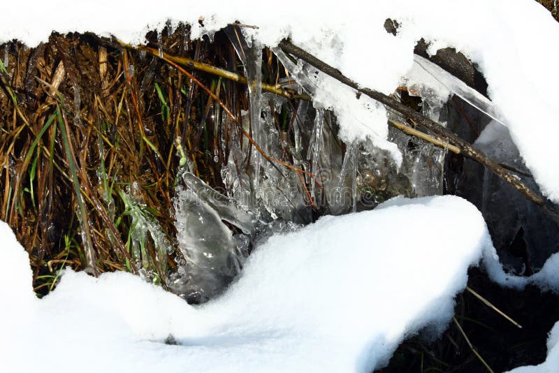 Spring in winter stock photo. Image of frost, nature - 140975410