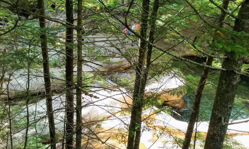 Hidden spring stock image. Image of woods, trees, water - 126905793