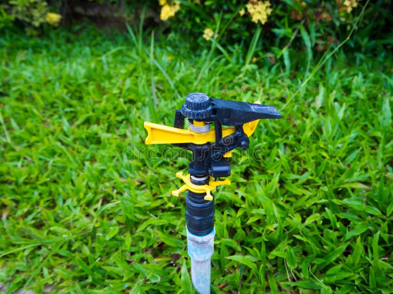 Water Springer In The Farm Sugarcane Stock Photo - Image of growth ...