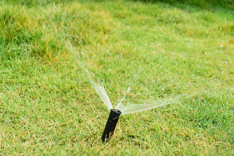 Closeup water springer stock image. Image of spray, rays - 31179289