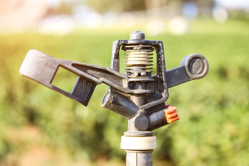 Water Springer in Garden with Sunrise Stock Image - Image of master ...