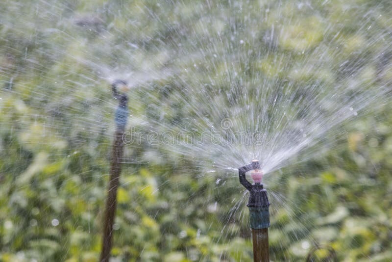 Water springer stock photo. Image of growth, garden, turn - 32615474