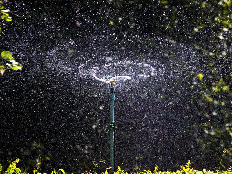 Water Springer for Watering the Plant Stock Image - Image of equipment ...