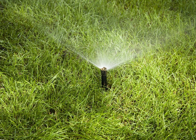 Water sprinkle stock photo. Image of lawn, environment - 10916612