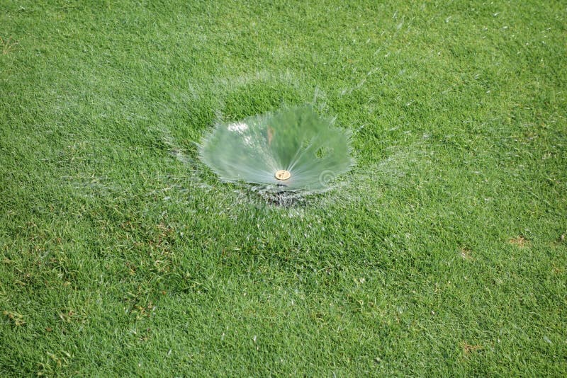 Sprinkle water stock image. Image of gardening, agriculture - 10916585