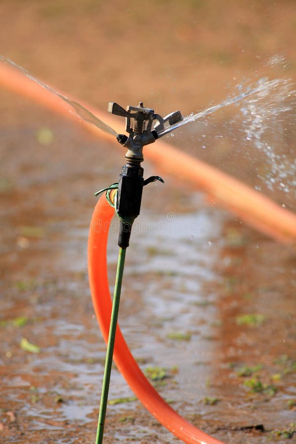 Water sprinkler stock image. Image of spray, plant, hose - 16943129