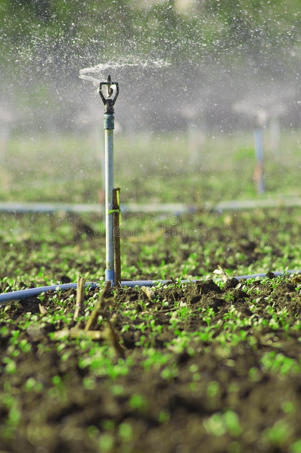 Water sprinkler stock image. Image of nature, field, foliage - 28508073