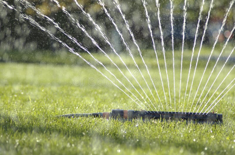 Water sprinkler 5 stock image. Image of waterdrops, spring - 563881