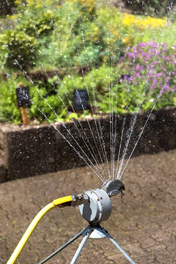 Water Sprinkler in a Garden Stock Photo - Image of water, flowers ...