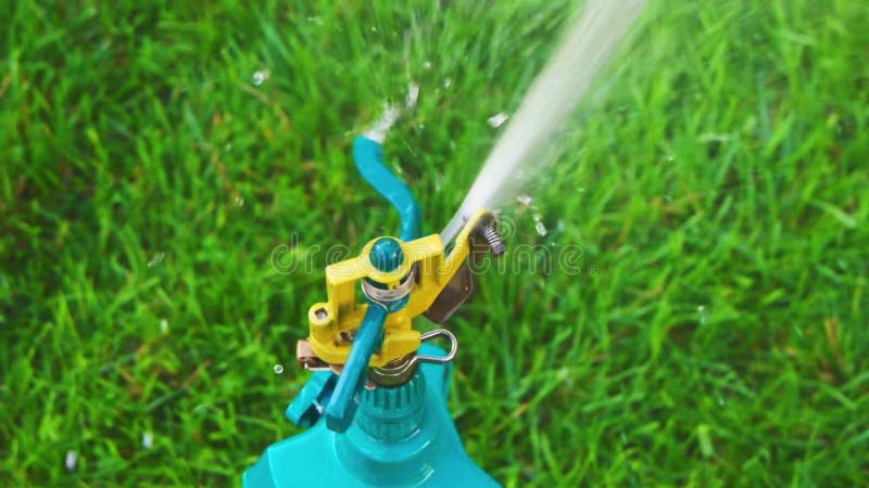 Sprinkler Head with Water Jet . Watering a Green Garden with a Rotating ...