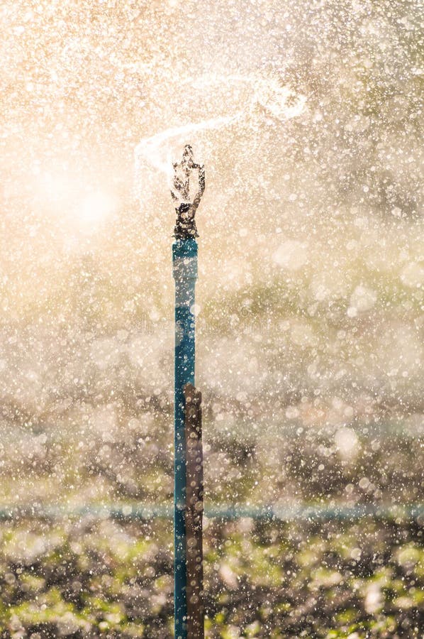 Water sprinkler stock image. Image of nature, land, agronomy - 50222681