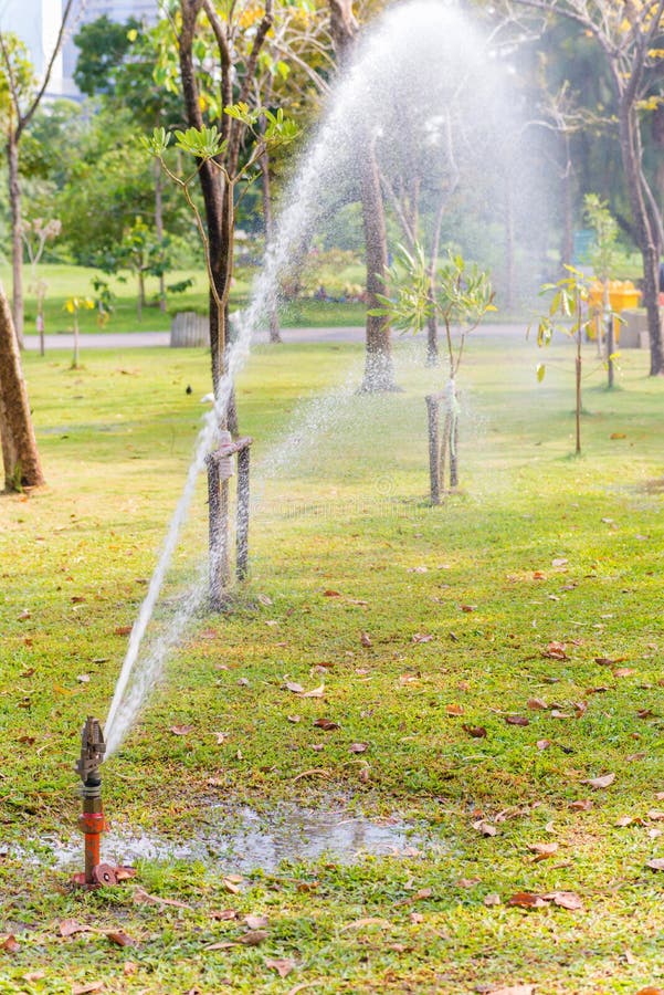 Water Sprinkler in Public Park Stock Image - Image of irrigation, land ...