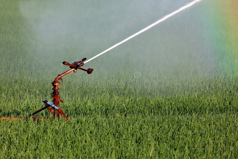 Water Sprinkler System Irrigating a Farm Field Stock Photo - Image of ...