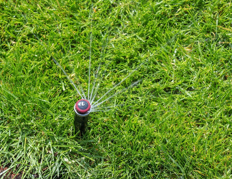 Water Sprinkler Waters the Lawn, Keeping the Grass in Good Condition ...