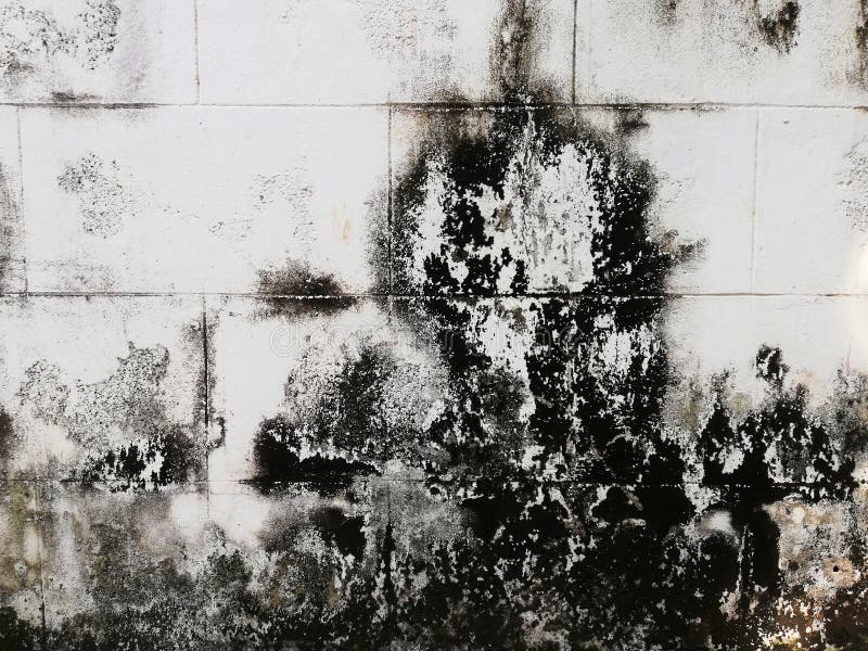 3,673 Water Stains Wall Stock Photos - Free & Royalty-Free Stock Photos ...