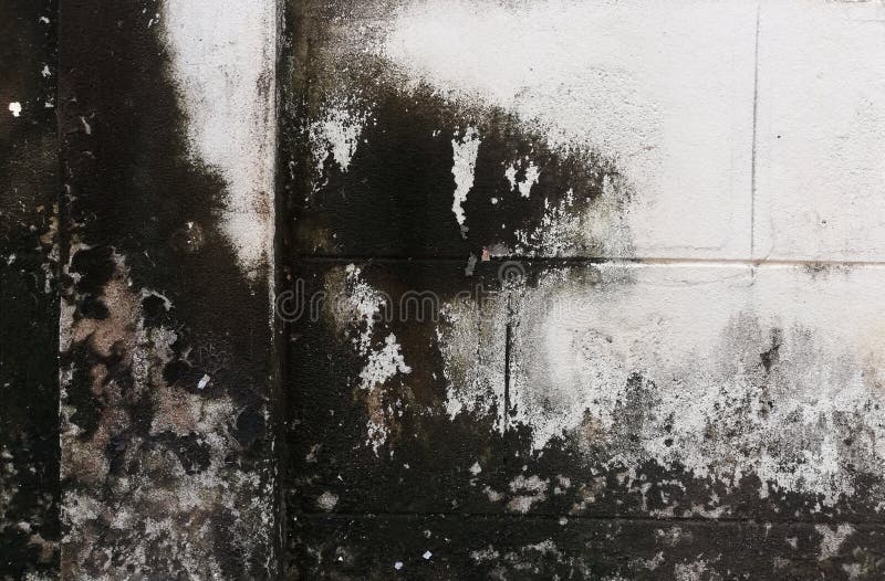 Water Stains on the Wall for a Long Time until Moss. Stock Image ...