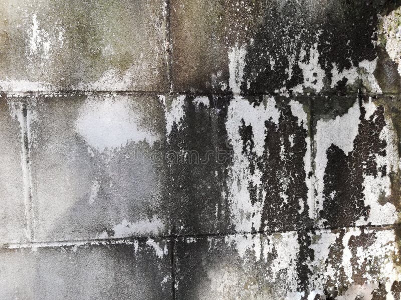 Water Stains on the Wall for a Long Time until Moss. Stock Photo ...