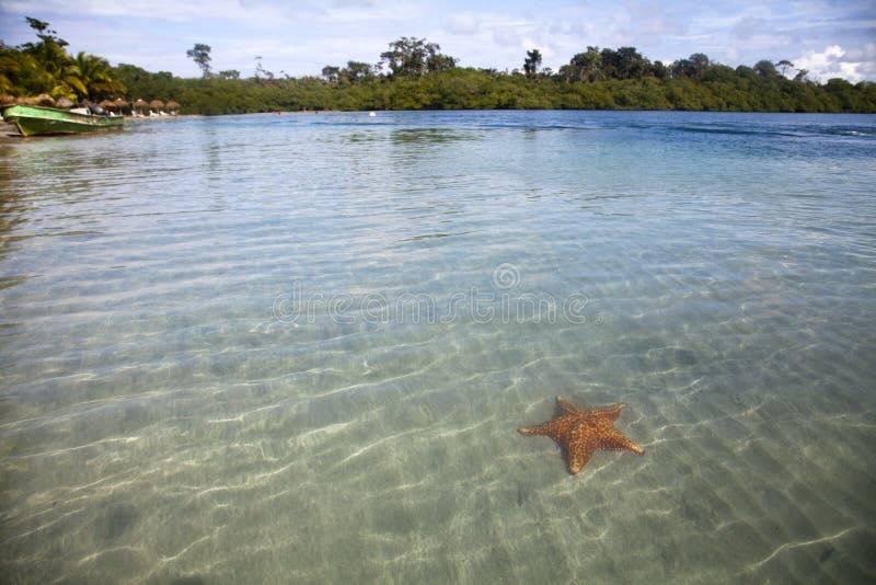 Water star stock image. Image of water, relax, landscape - 73248935