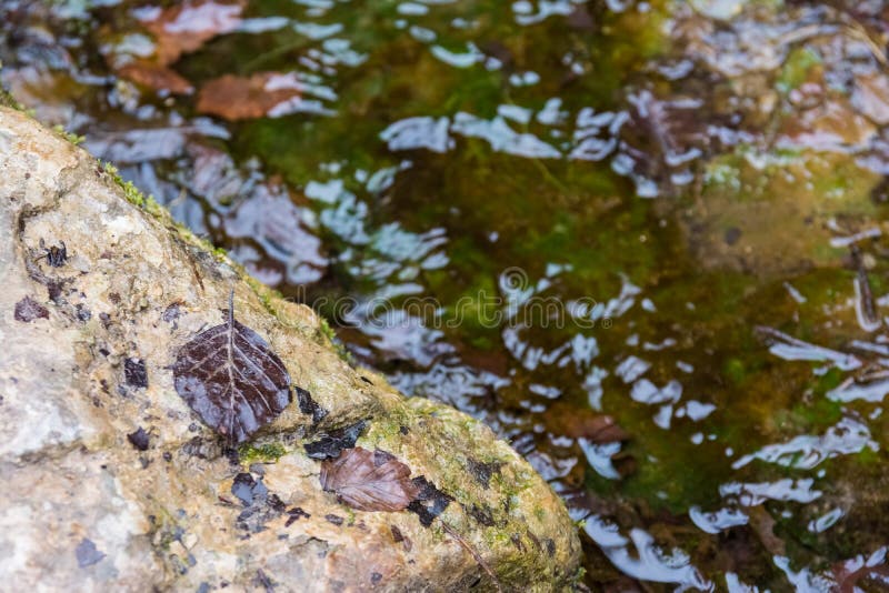 Water on Stone Small Puddle River Wet Cold Ripples Textures Relaxing ...