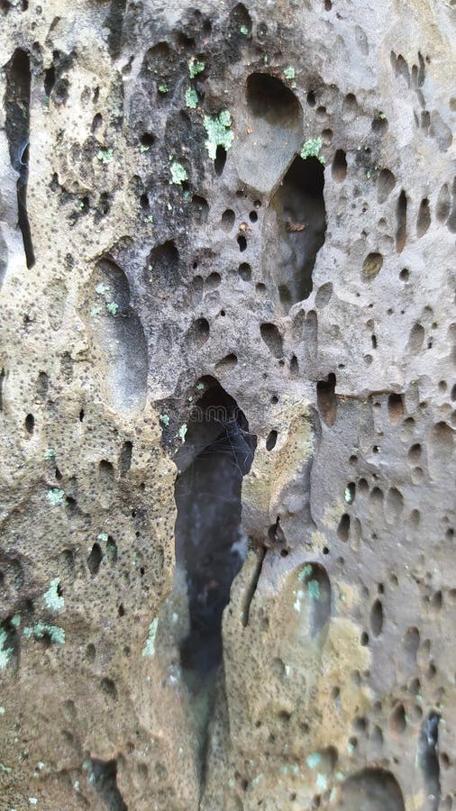 Water Stone Texture on the Wall Stock Photo - Image of organism, wall ...