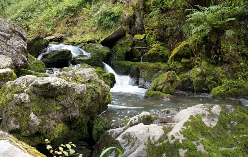 Water stream stock image. Image of relaxation, flow, forest - 11120359