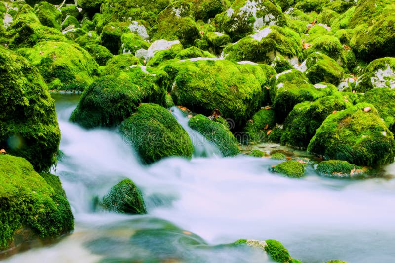 Spring stream stock photo. Image of river, summer, rocks - 24159948