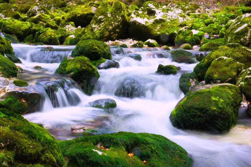 Water Stream stock photo. Image of slovenia, european - 12945118