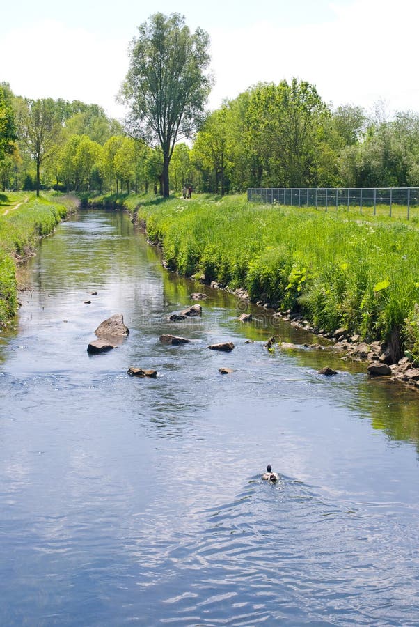 Stream Green Pasture Stock Photos - Download 2,569 Royalty Free Photos