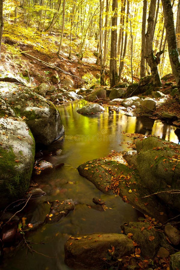 Water stream stock image. Image of creek, color, motion - 21868543