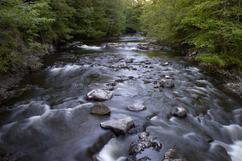 Water Stream stock photo. Image of lush, flowing, humid - 5437334