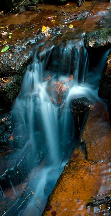 Water stream stock photo. Image of leaf, creek, colorful - 6043782