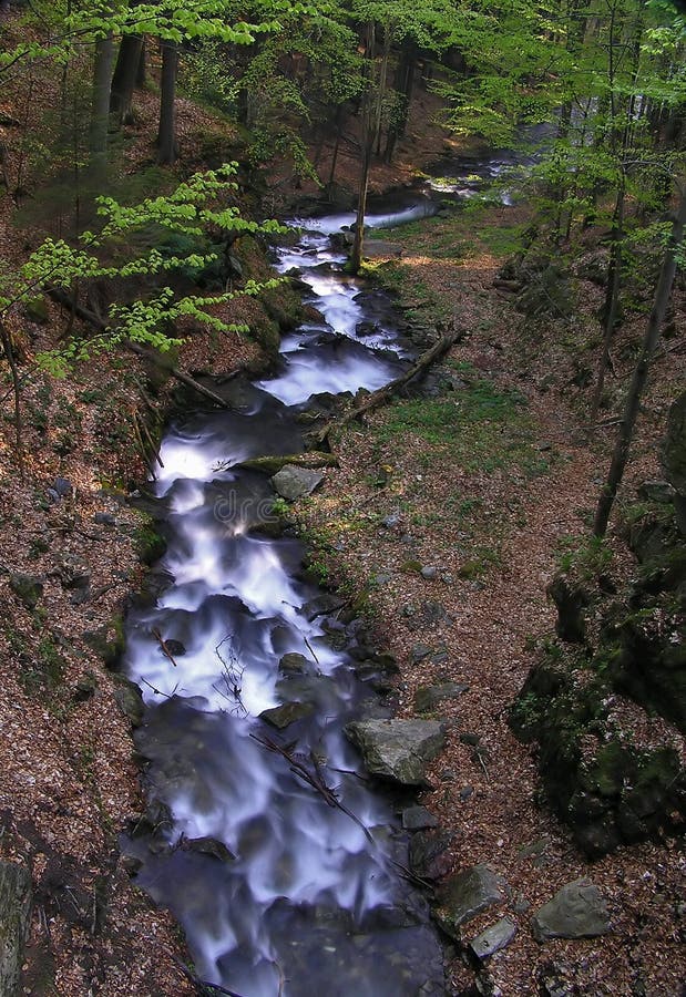 Water stream stock image. Image of torrent, purity, scene - 6997077