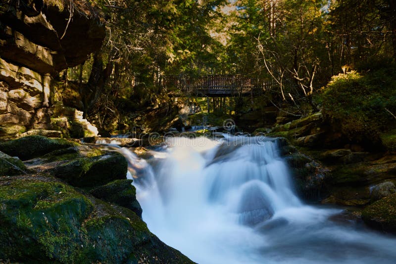 Water Stream in a Beautiful Forest Stock Photo - Image of mount ...