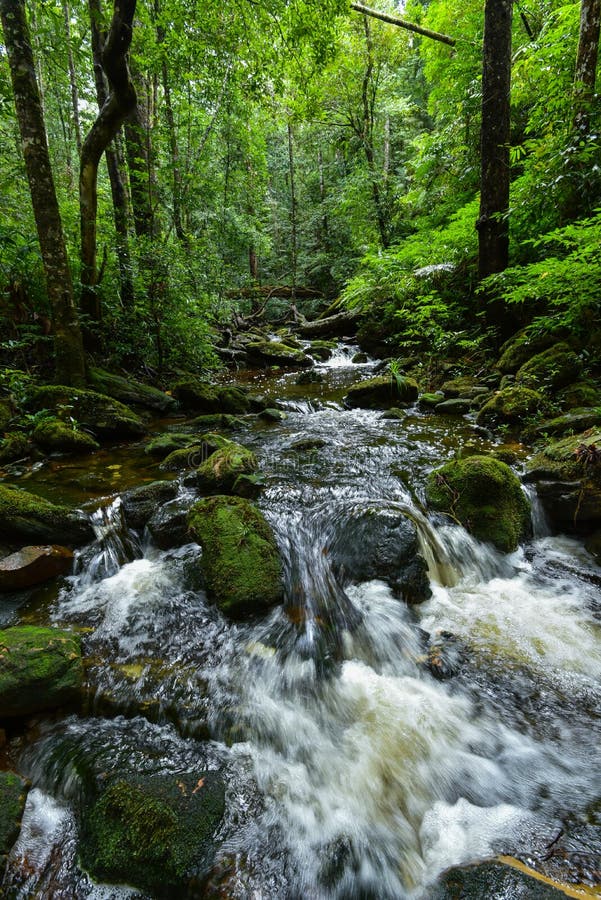 Water stream stock photo. Image of fresh, water, river - 60882024