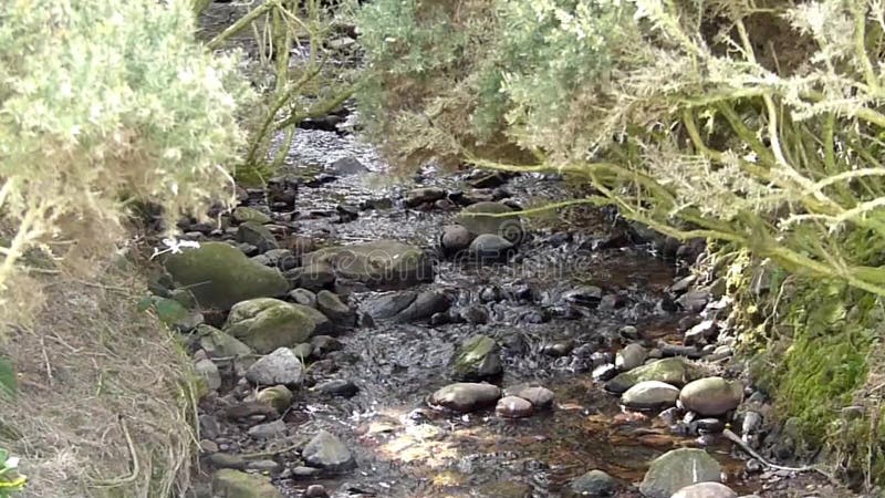 Water stream into pond stock video. Video of disturbance - 349755227