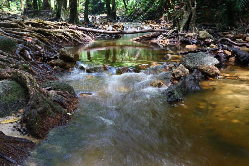 Water Stream stock photo. Image of roselle, water, false - 40008396