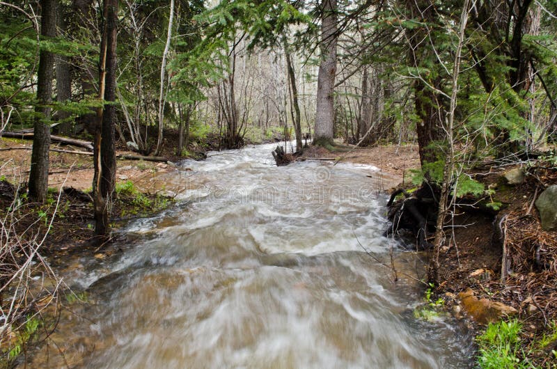 Water stream in Colorado stock photo. Image of water - 54810600