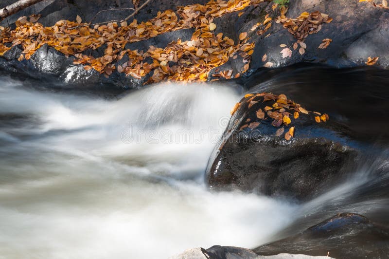 Water stream in fall stock photo. Image of flowing, river - 97201170
