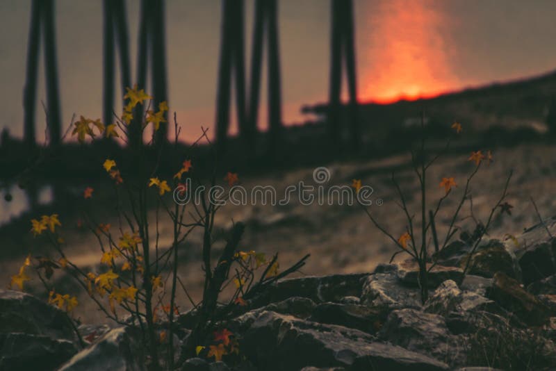 Water stream stock photo. Image of suns, glare, fall - 105748332