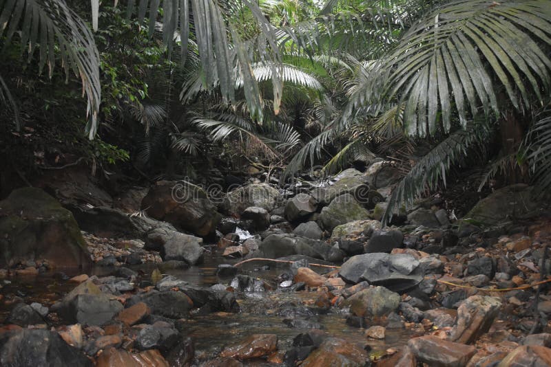 Water Stream Falling between the Big Rocks Stock Photo - Image of ...