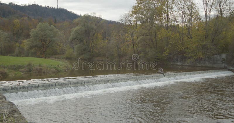 Water Stream Falling Down Over Stone Cascade. River Water Flowing Down ...