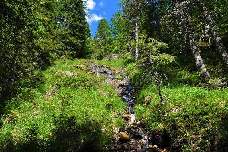 Water Stream Flowing Down a Steep Slope Stock Photo - Image of hiking ...