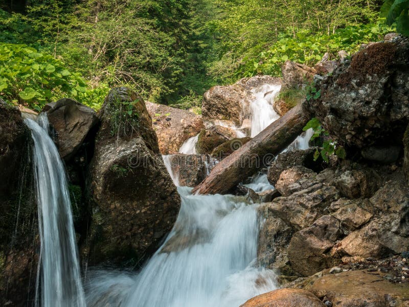 Water Stream Flowing between Rocks into the Forest. Water Spring in ...