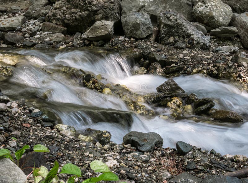 Water Stream Flowing between Rocks into the Forest. Water Spring in ...