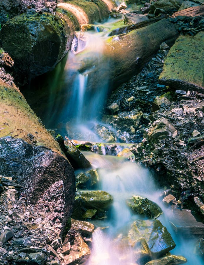 Water Stream Flowing between Rocks into the Forest. Water Spring in ...