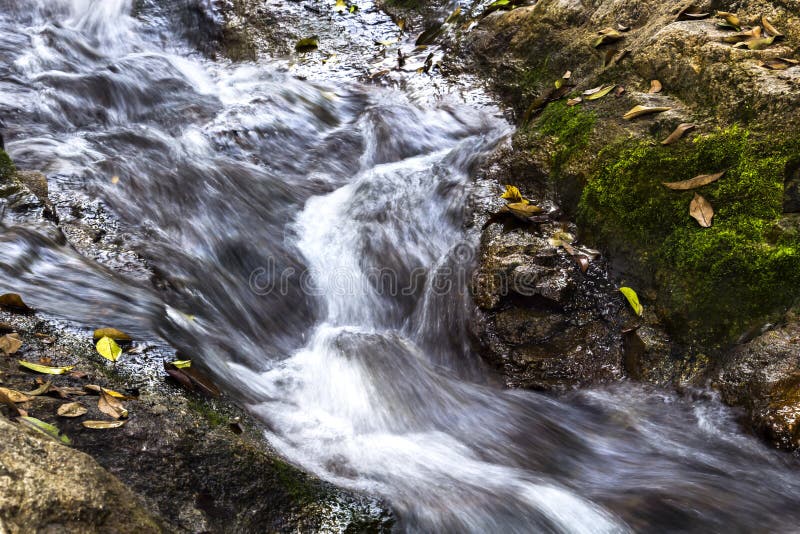 Water Stream Flowing Running Over Rocks and Moss into a Brook of Stock ...